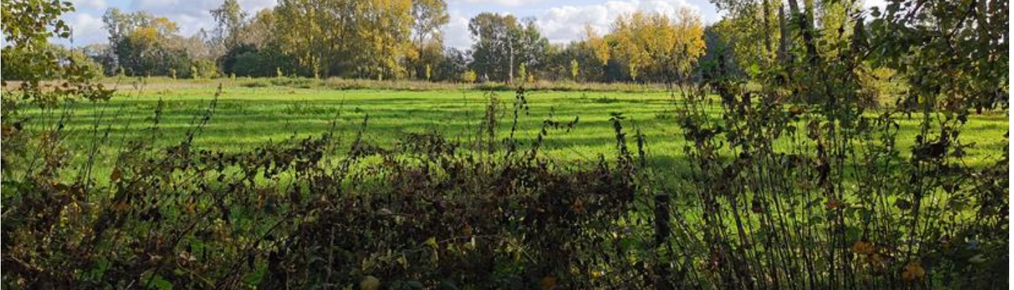 Openbare verkoop 43 hectare natuurgrond - Groen Ontwikkelfonds Brabant