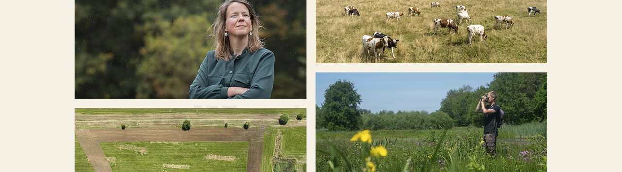 Van wie is de ruimte? - Groen Ontwikkelfonds Brabant